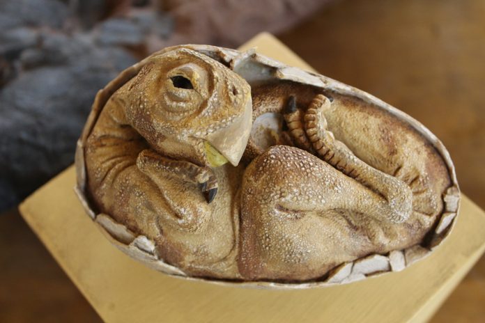 Party Like it's 65,000,000 BC at the Gwinnett Environmental and ...