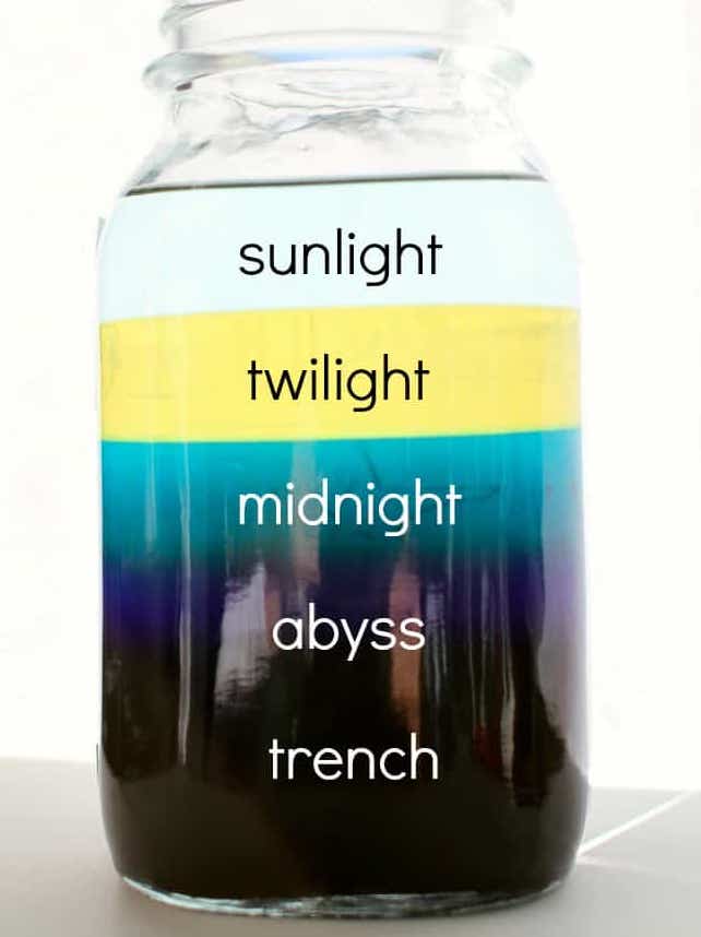 Making STEM Fun! 5 DIY Science Experiments to Try This Winter Break ...