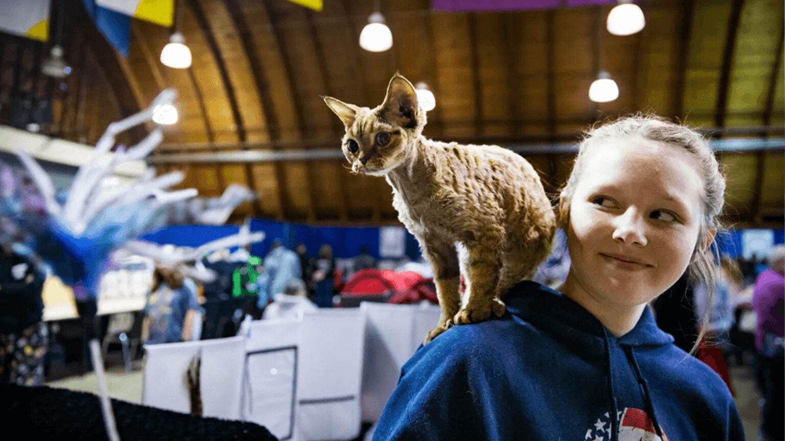 The Cat’s Out of the Bag! - Gwinnett Magazine